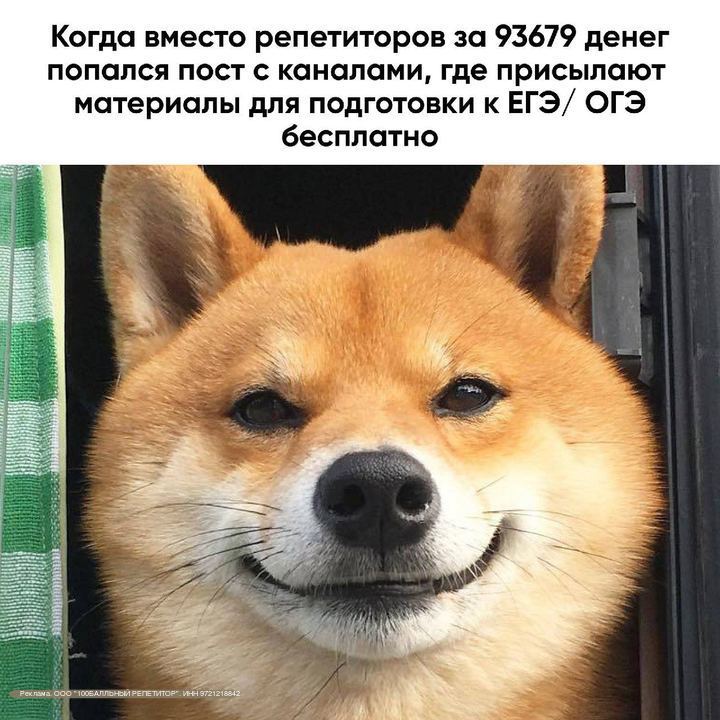 Публикация #6125 — МЕМНЫЕ АВАТАРКИ (@avamemy)